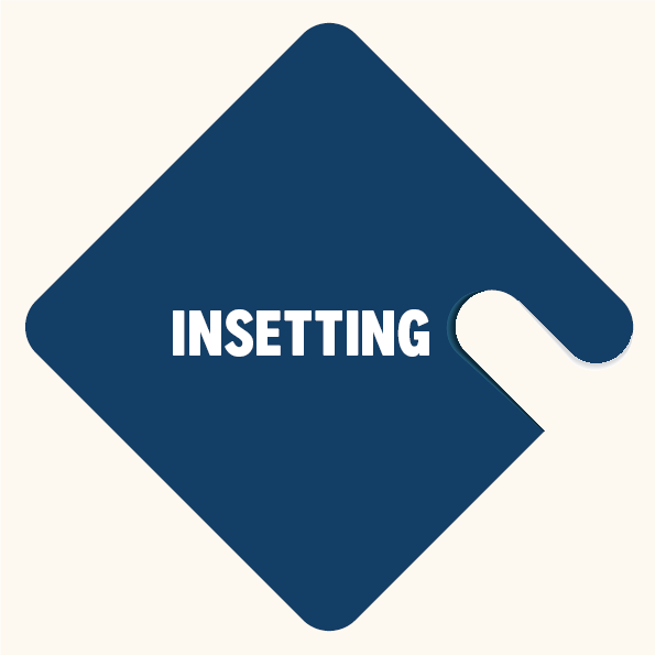 Insetting to decarbonise shipping industry - Stena Line Freight